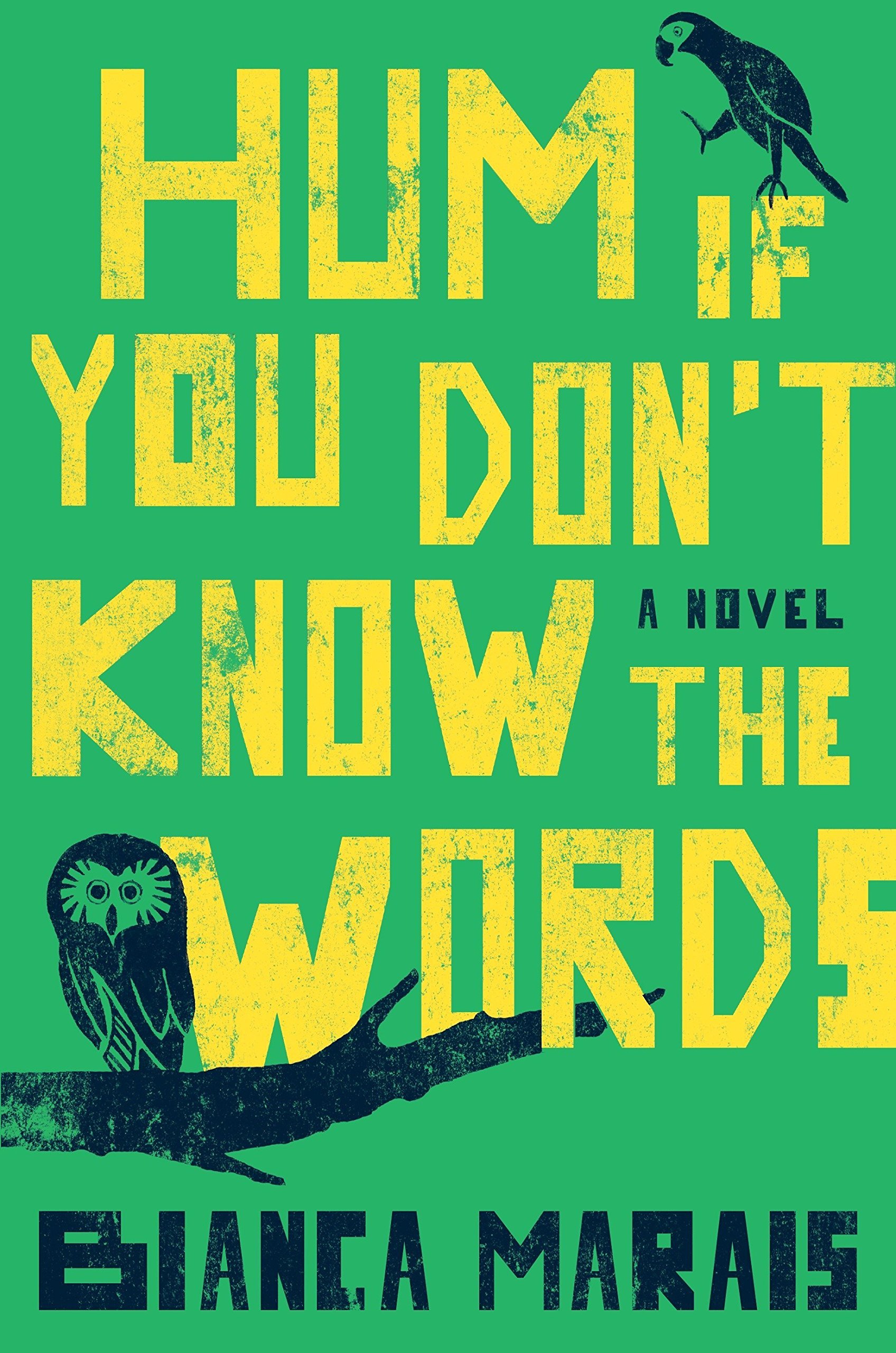 The Best Canadian Novels by Canadian Authors